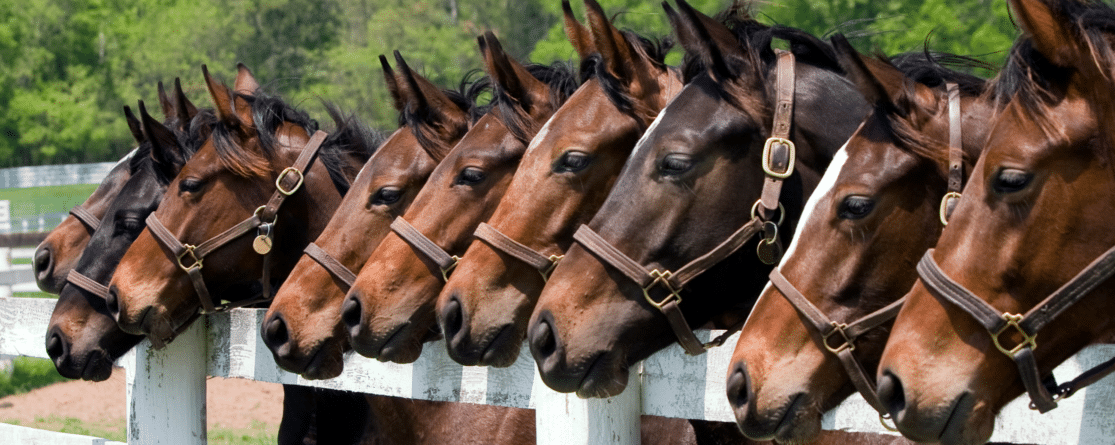 Your Guide to Becoming an Insurance Agent in Kentucky